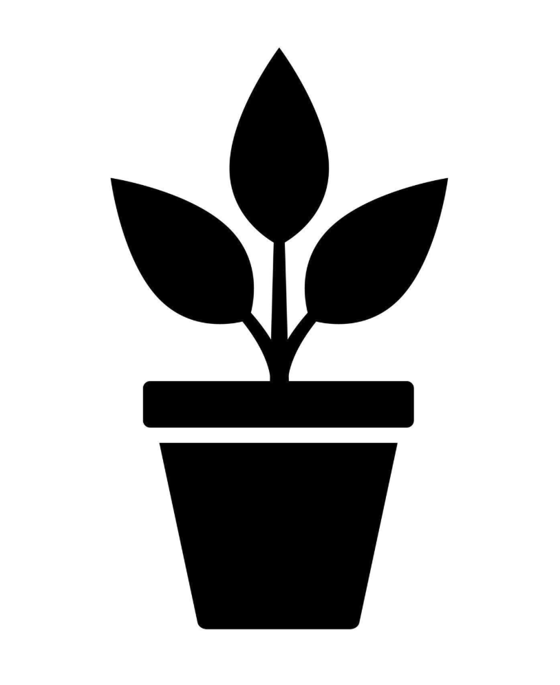 Grow Fast - Soil Revitalizer | Greenit Qatar