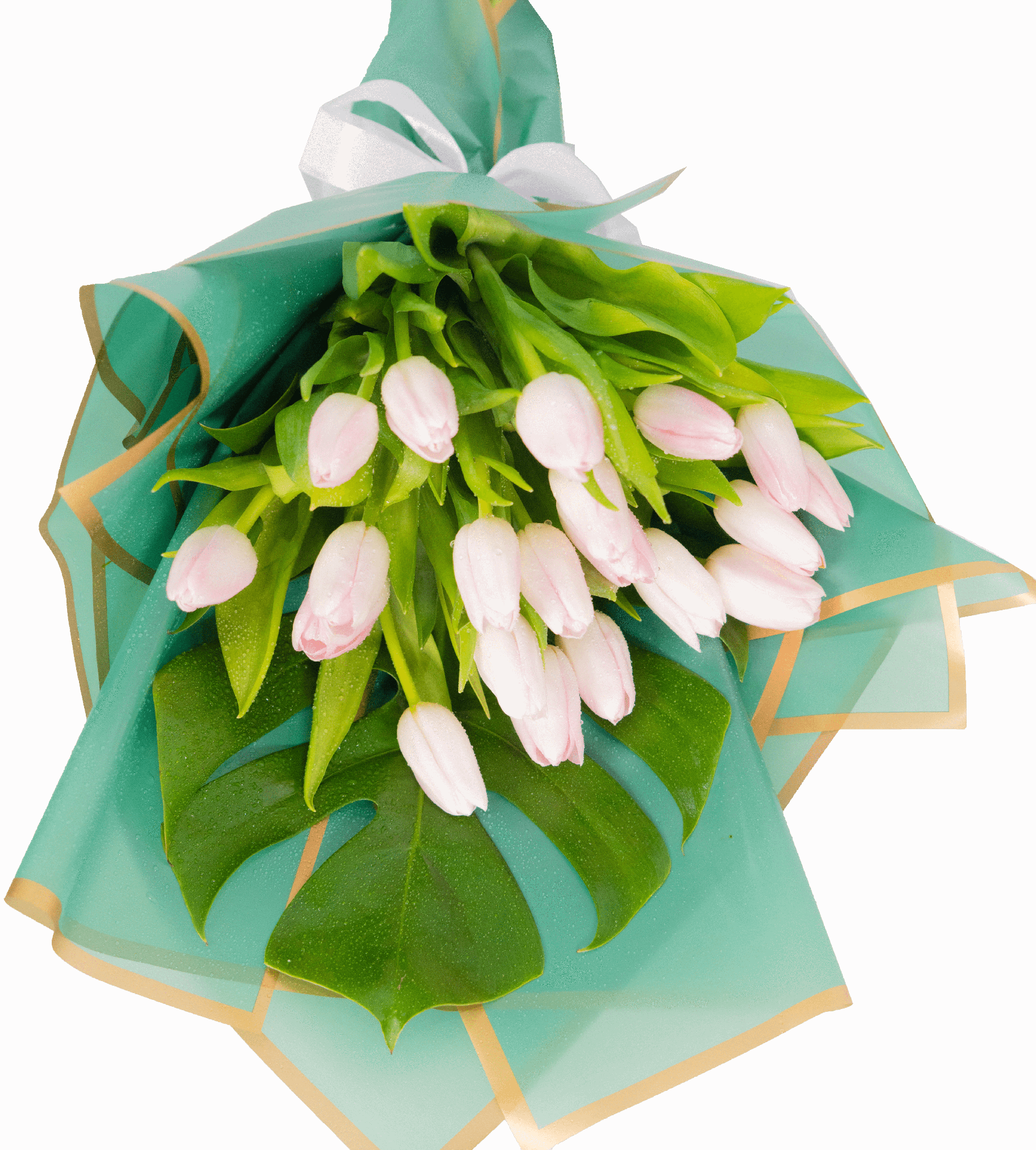 Tulip Tower | Greenit Qatar